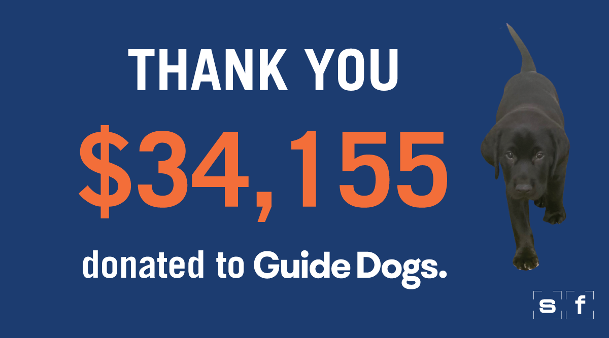 Introducing the Guide Dogs Queensland n litter! - Spaceframe Design ...